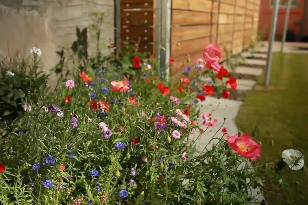 GOVANHILL HOUSING ASSOCIATION - THE FUTURE - thirteensquared